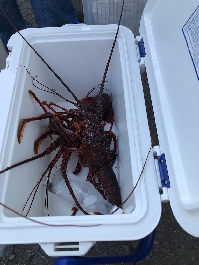 IMG_7866 | Natty works studio